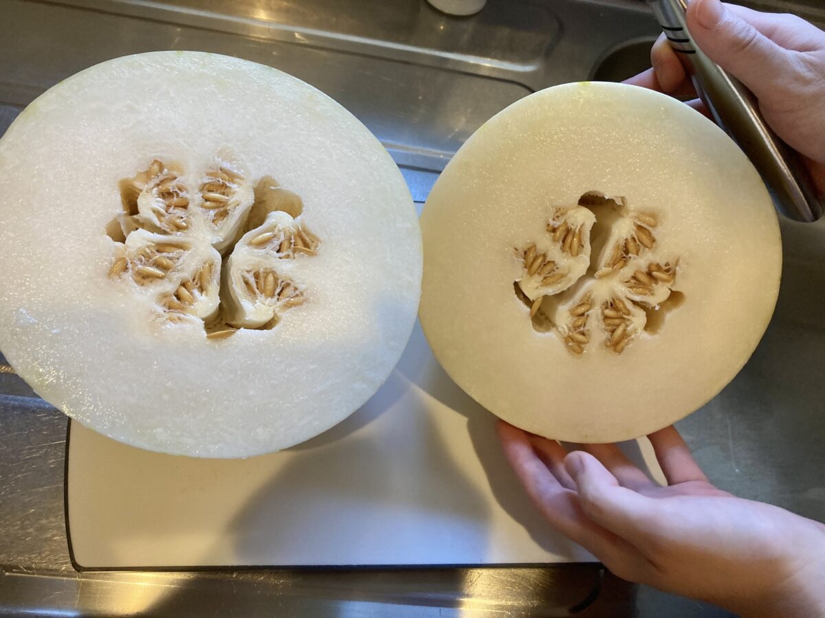 コストコのエンペラーパールメロンがジューシーで美味しい！中身も白くみずみずしい