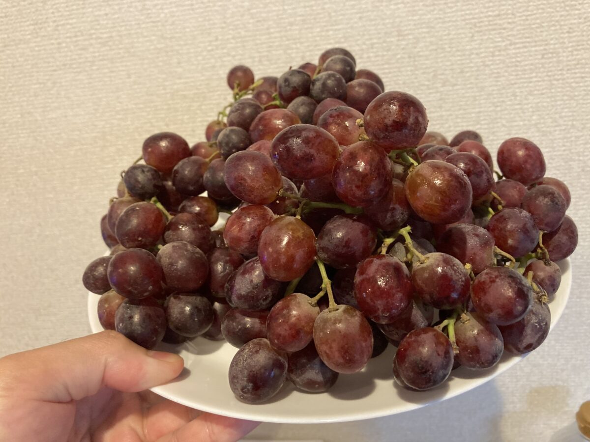 【コストコ】まるでイチゴの味？甘くて美味しい新商品のベリースナップグレープ！