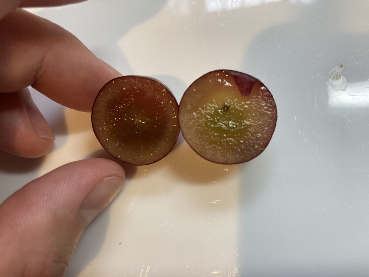 【コストコ】まるでイチゴの味？甘くて美味しい新商品のベリースナップグレープ！