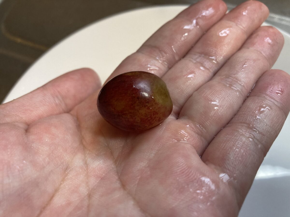 【コストコ】まるでイチゴの味？甘くて美味しい新商品のベリースナップグレープ！
